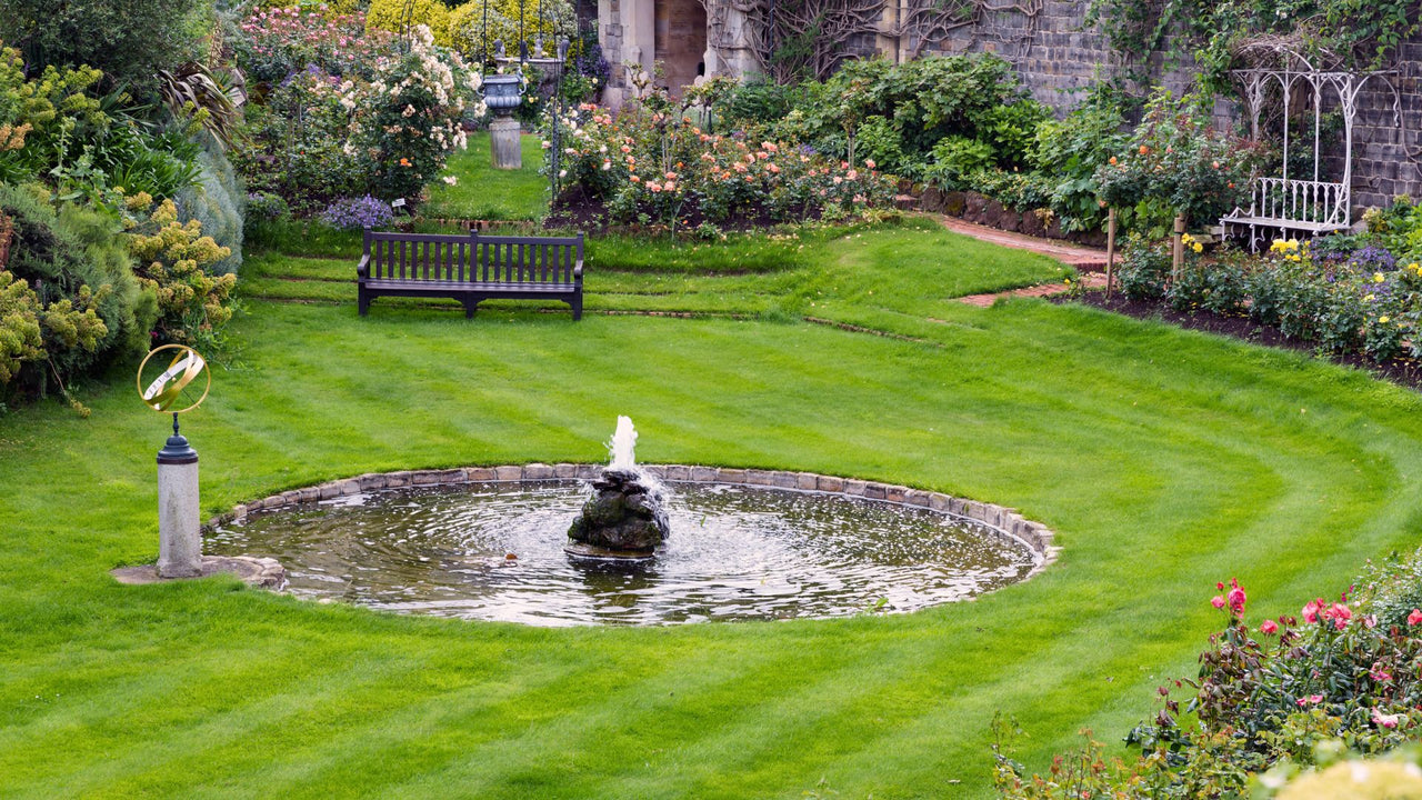 Maximising Your Garden’s Potential – WALTER PRODUCTS